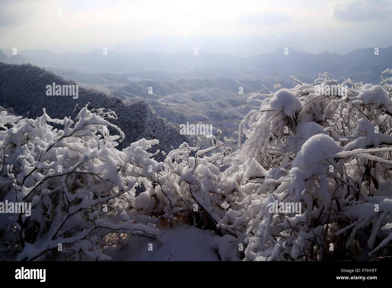 Beijing, Beijing, CHN, China. 23rd Nov, 2015. Beijing, CHINA - November ...