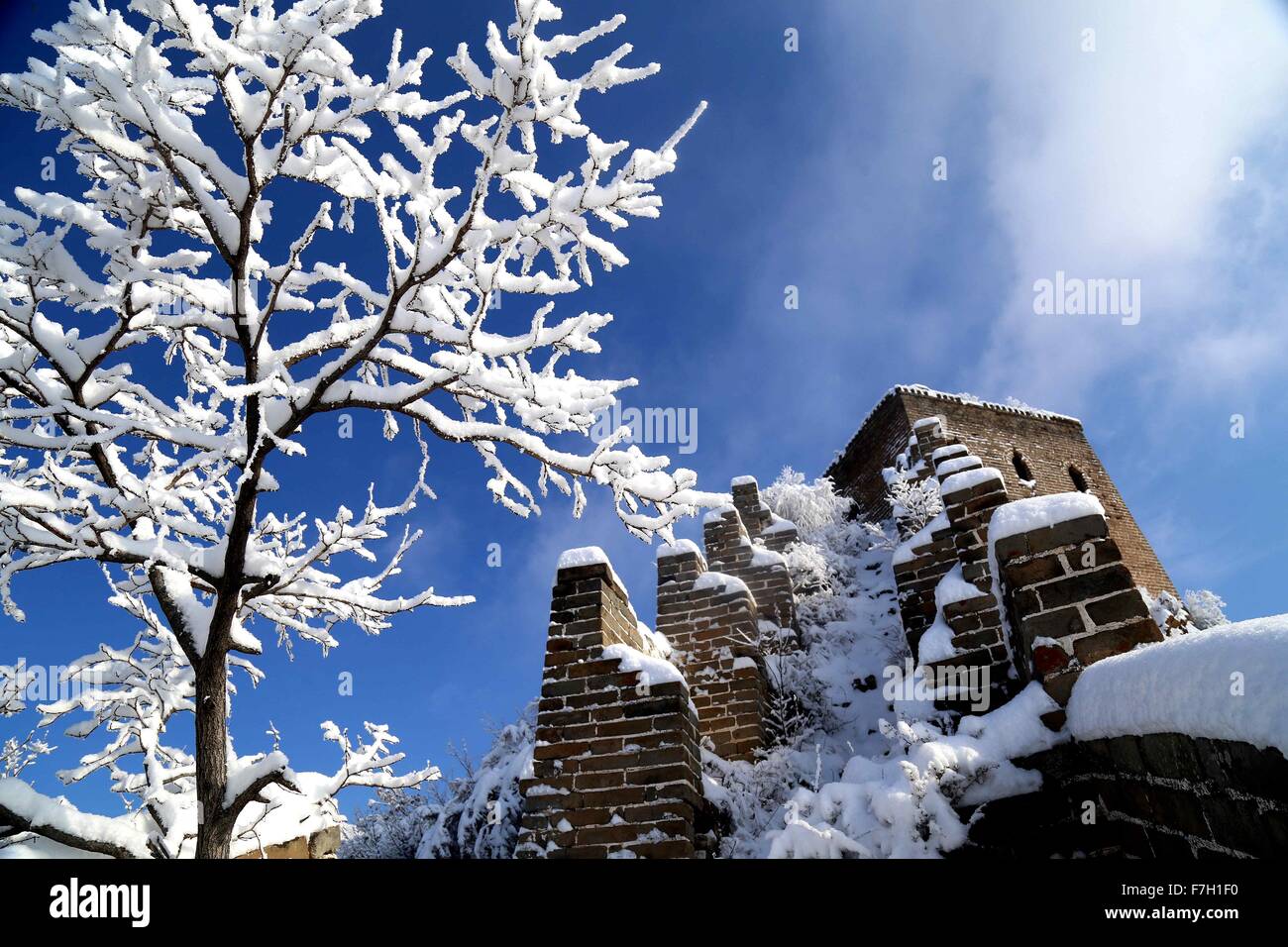 Beijing, Beijing, CHN, China. 23rd Nov, 2015. Beijing, CHINA - November ...