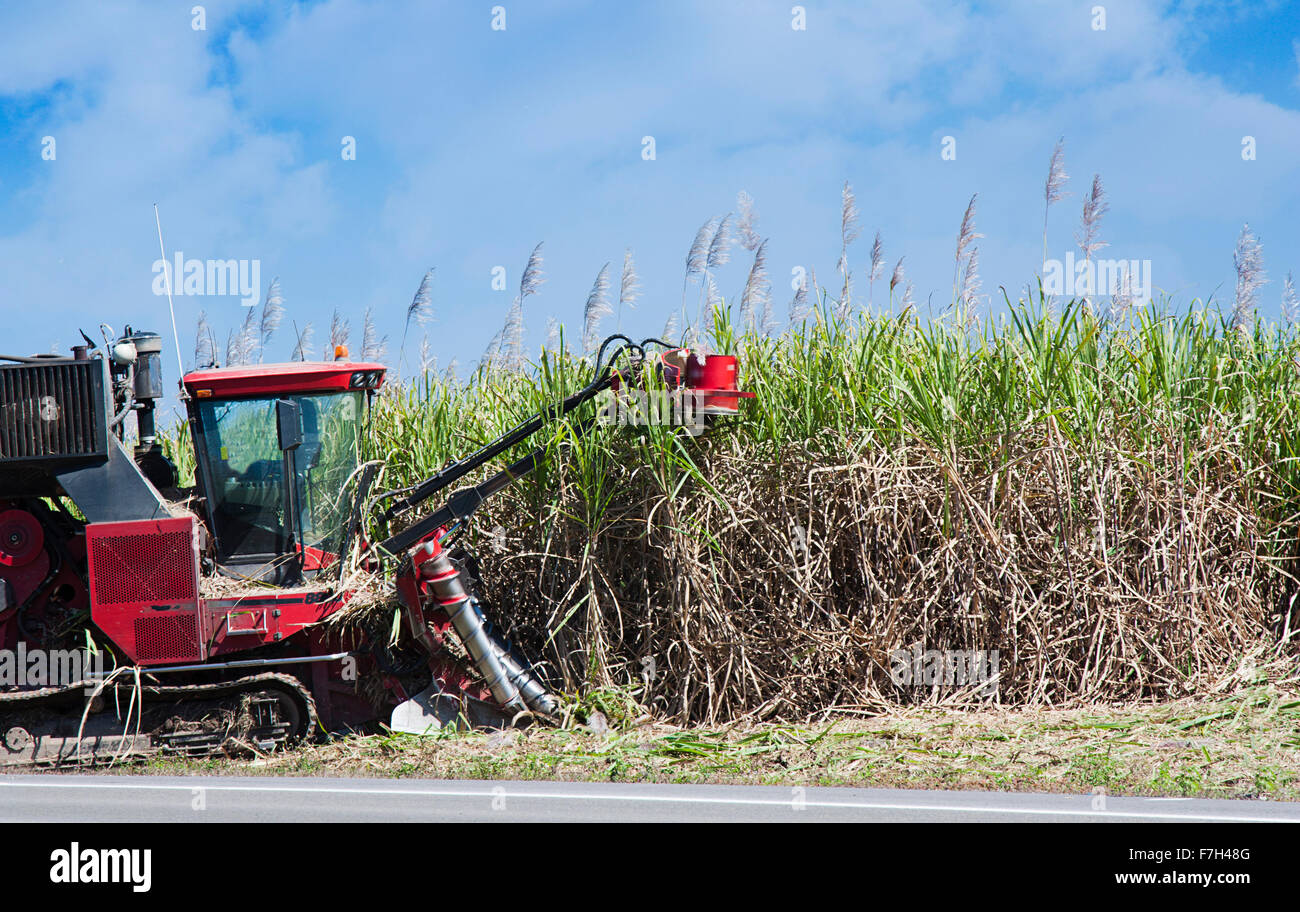 Sugar cane harvesting australia hi-res stock photography and images - Alamy