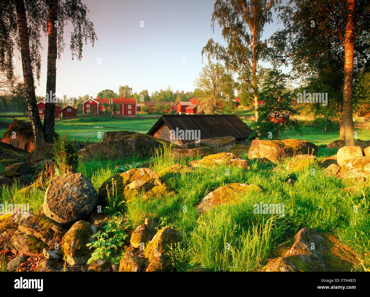 Cows and red barn hi-res stock photography and images - Alamy