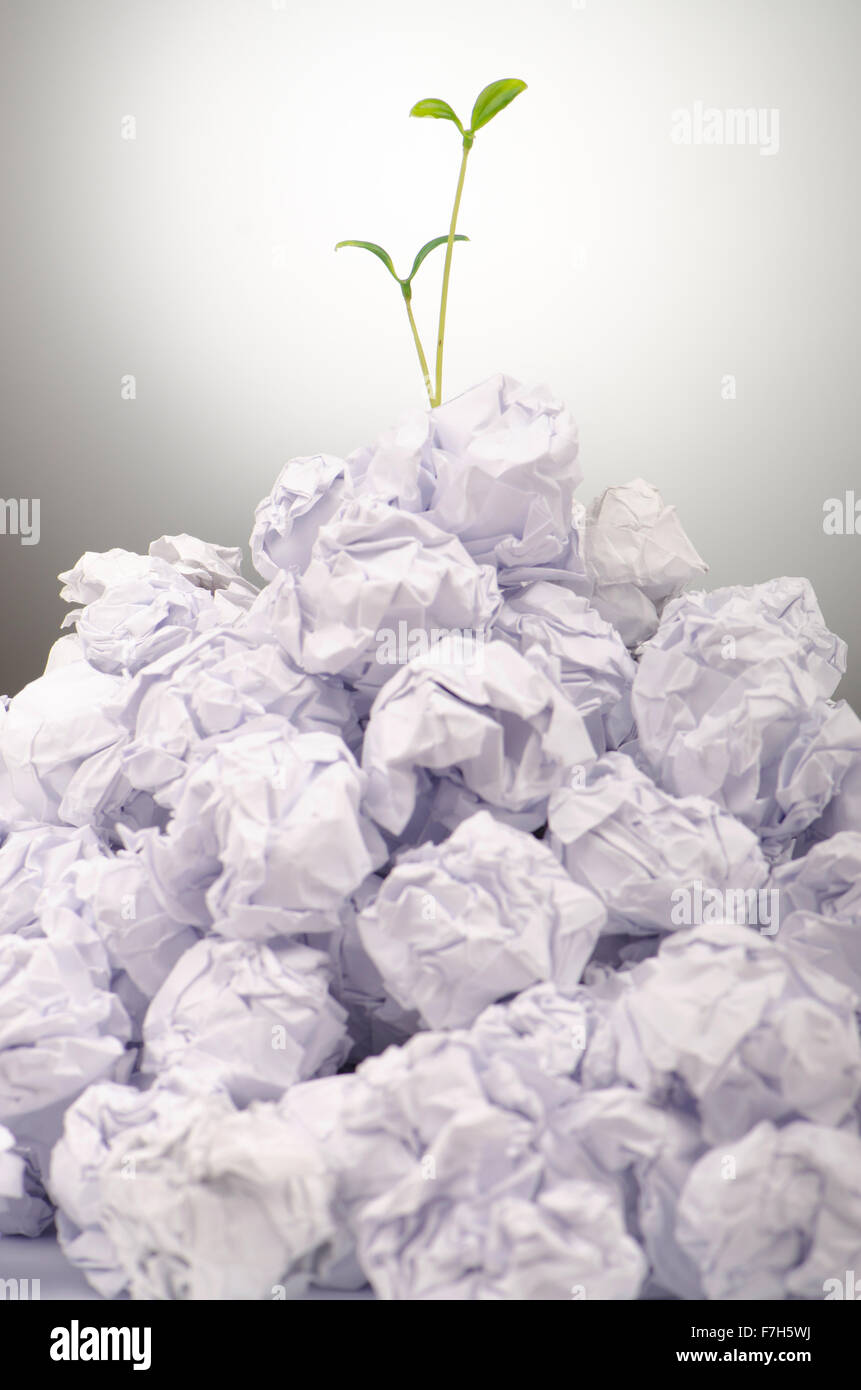 Green seedlings growing out of paper Stock Photo - Alamy