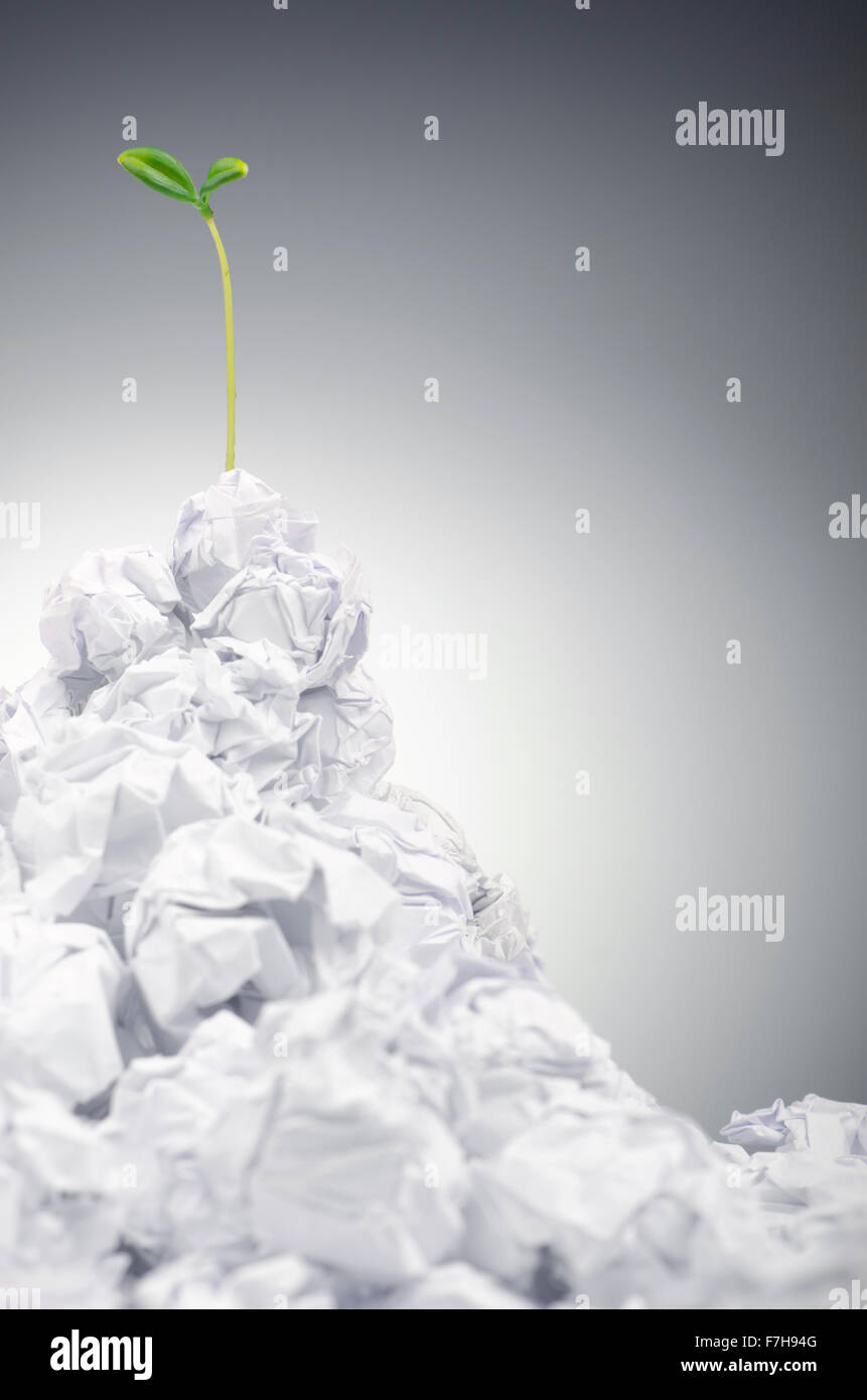 Green seedlings growing out of paper Stock Photo - Alamy