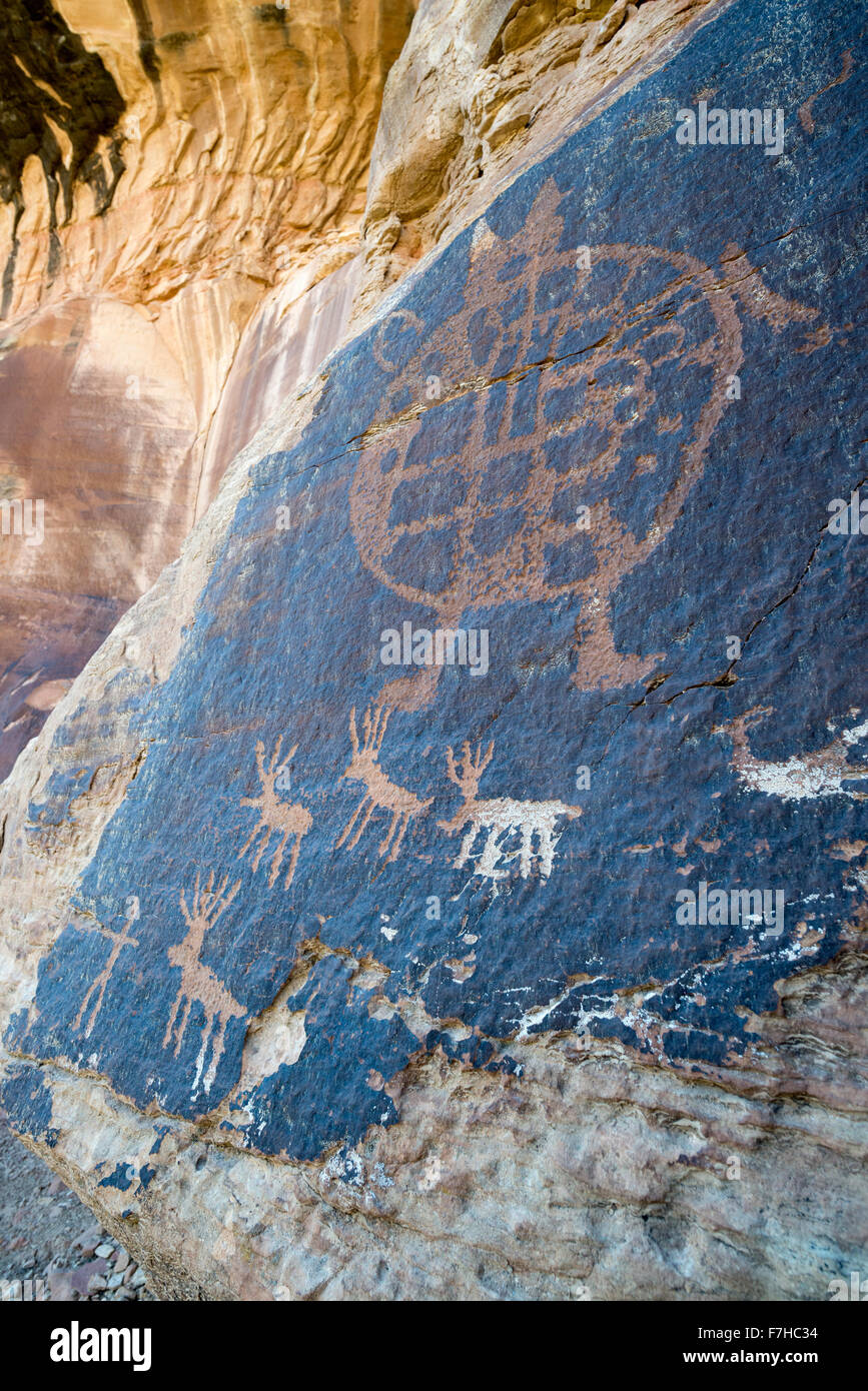 Ancient pueblo petroglyphs in Southern Utah Stock Photo - Alamy