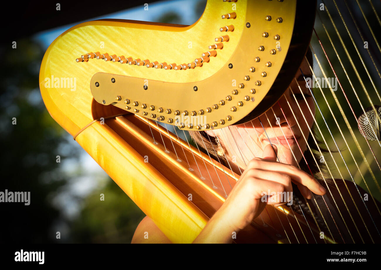 Chinese harp hi-res stock photography and images - Alamy