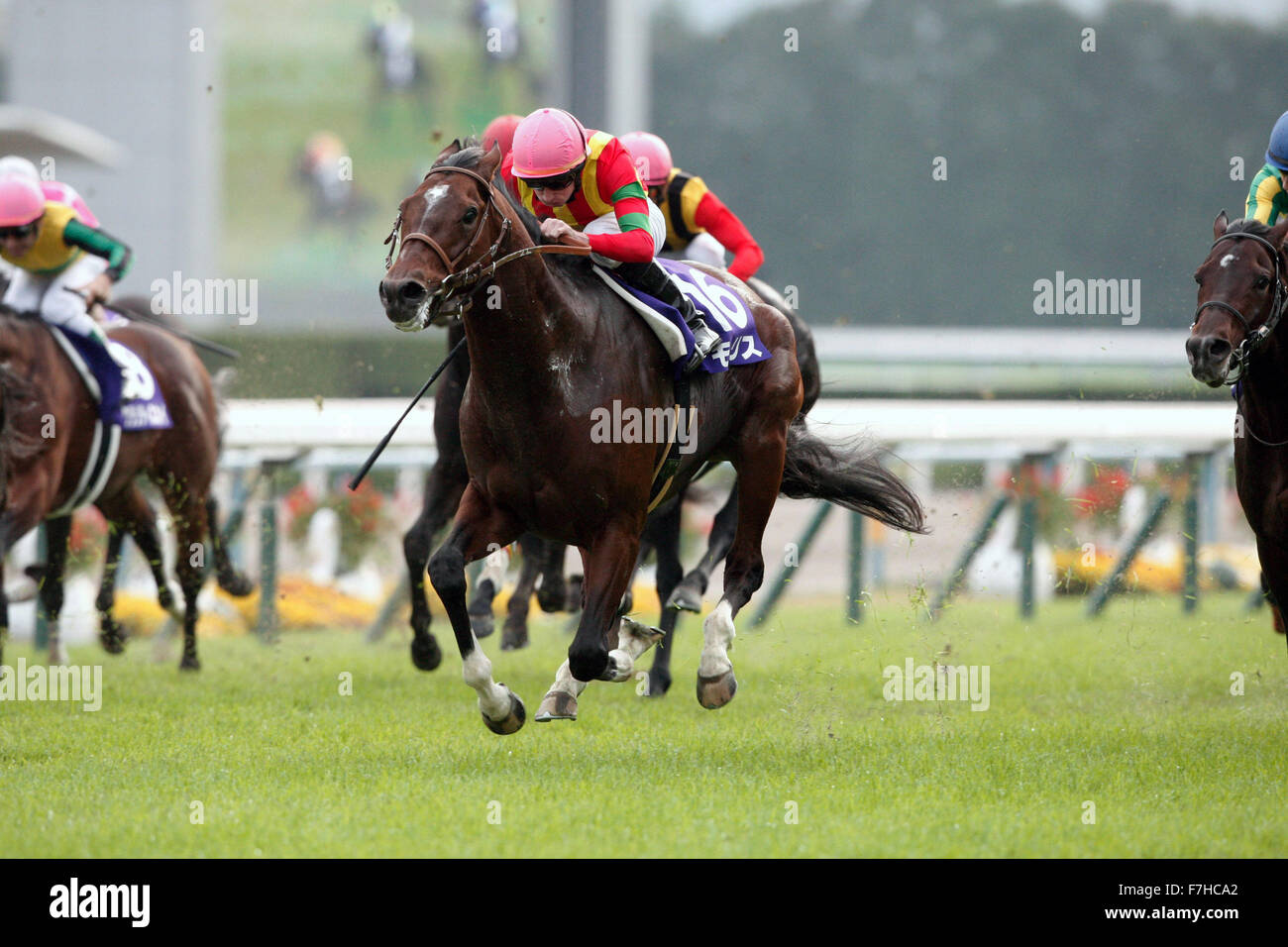 Kyoto, Japan. 22nd Nov, 2015. Maurice ( Ryan Moore) Horse Racing ...