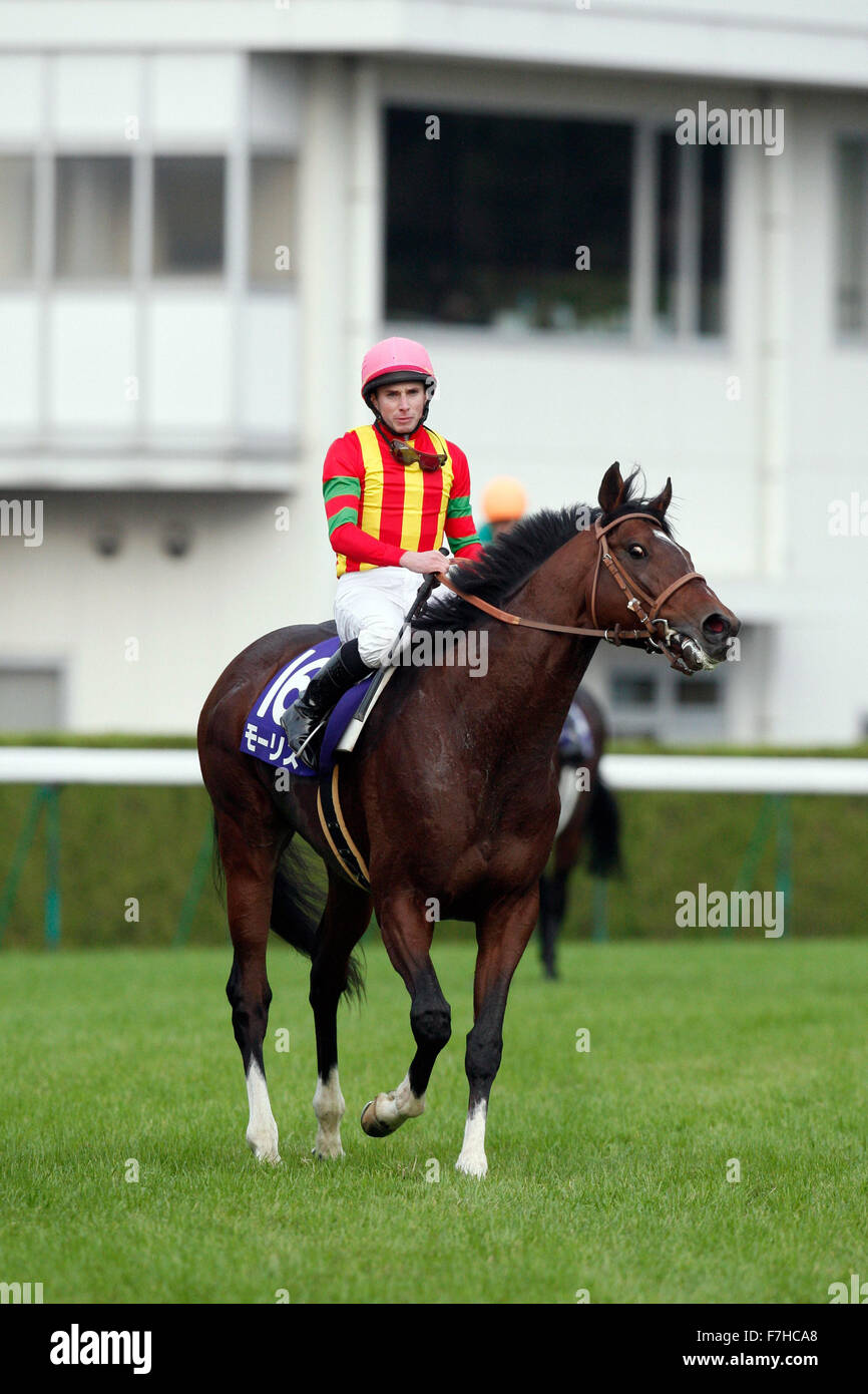 Kyoto, Japan. 22nd Nov, 2015. Maurice ( Ryan Moore) Horse Racing ...