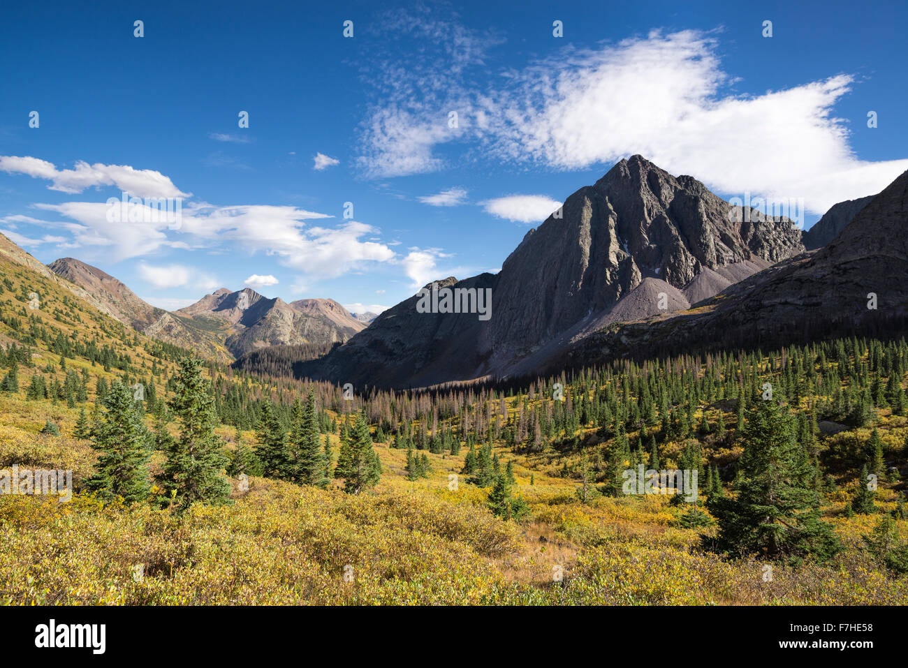 Subalpine basin in Colorado's Weminuche Wilderness Stock Photo - Alamy