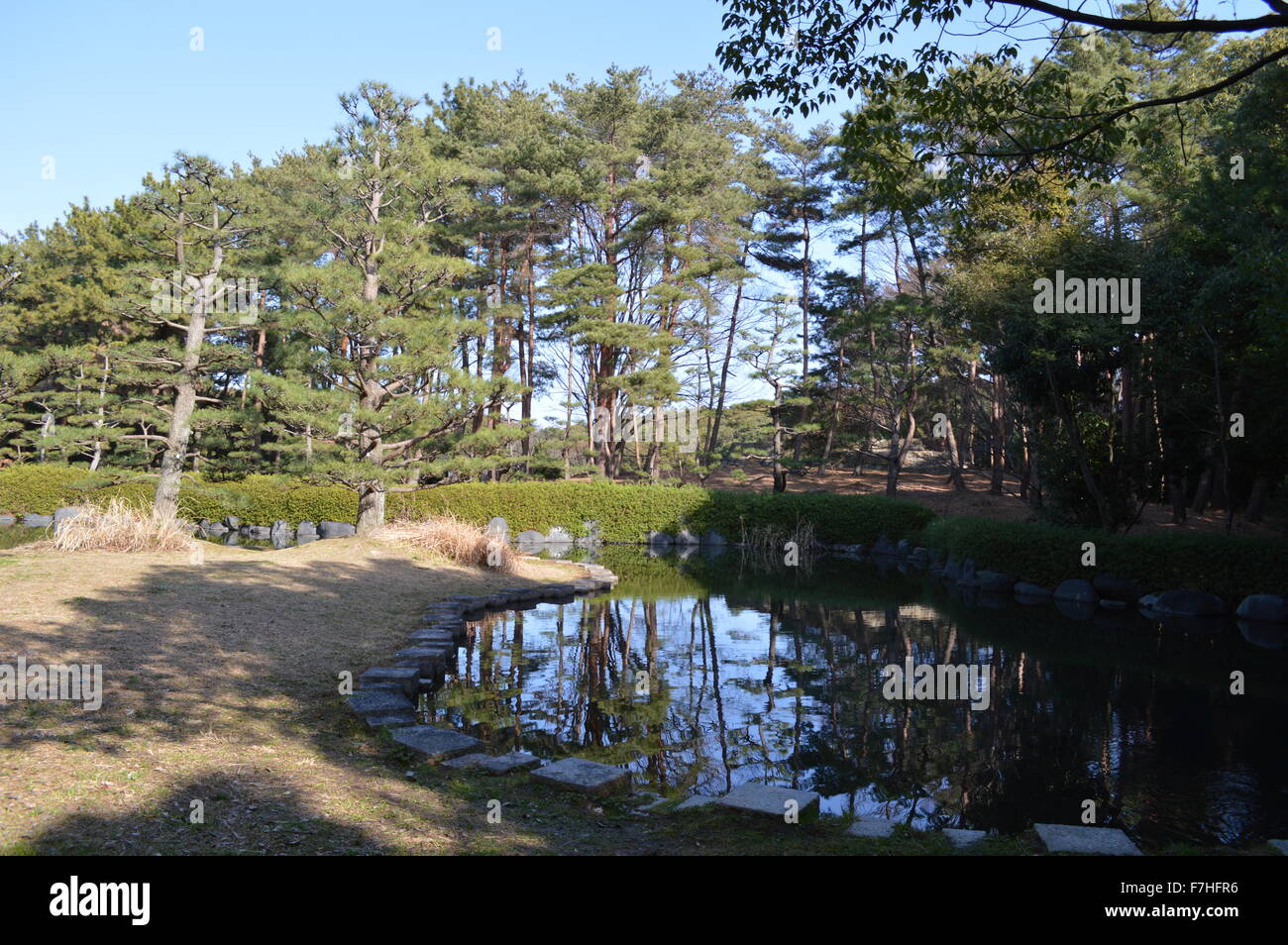 Banpaku-koen park in Japan with beautiful wild life and landscape and ...