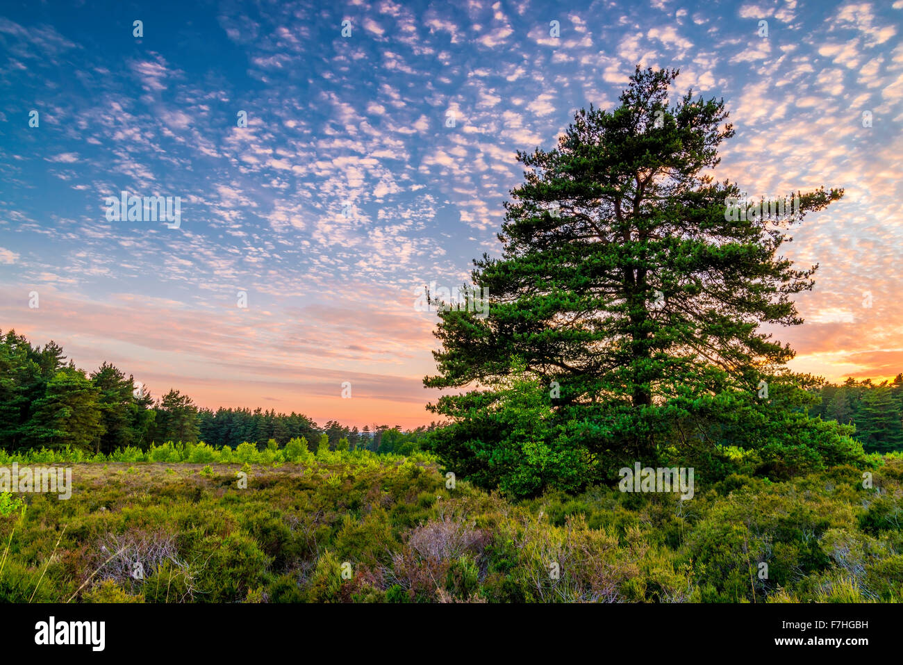 West lavington hi-res stock photography and images - Alamy