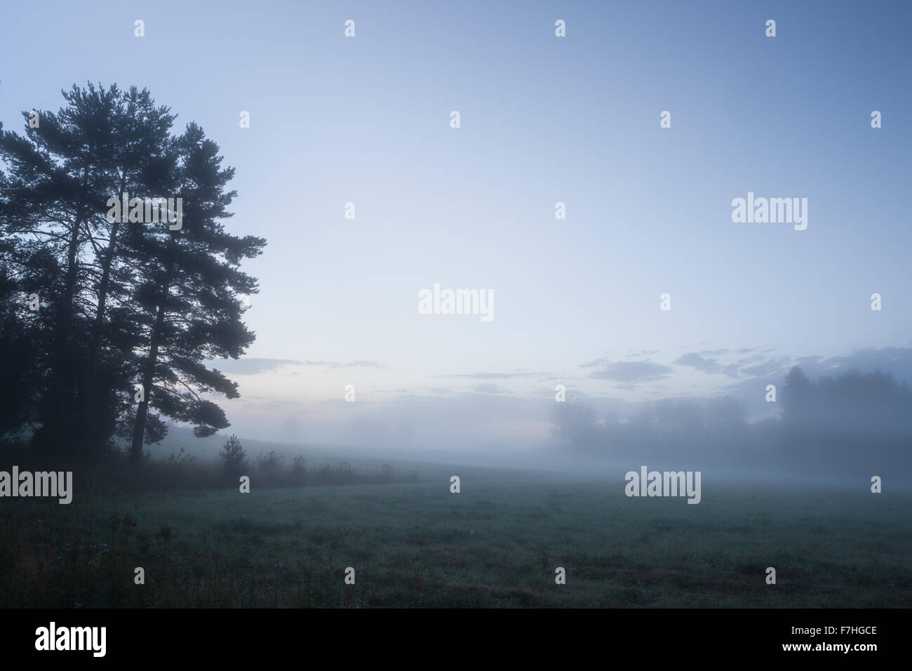Misty meadow at dawn Stock Photo - Alamy