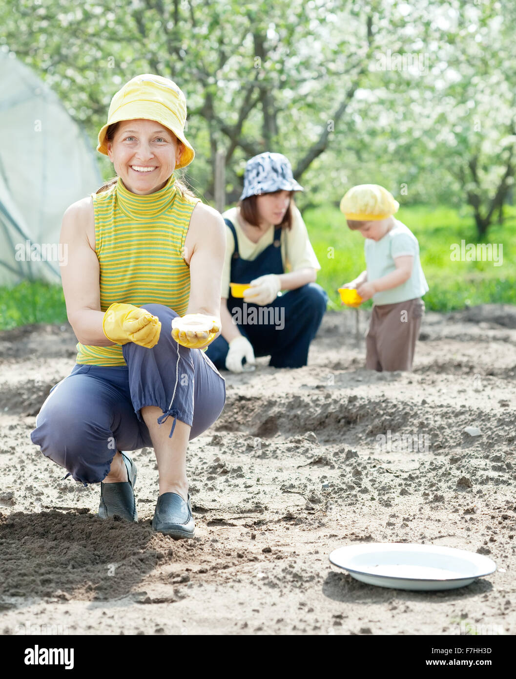 Happy family sows seeds in soil at field Stock Photo - Alamy