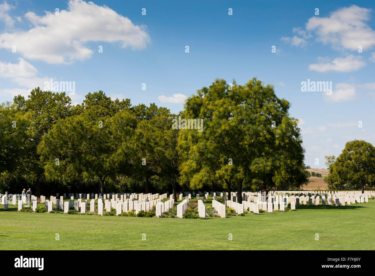 Ranks of well tendered and planted gravestones in a quiet garden. War ...