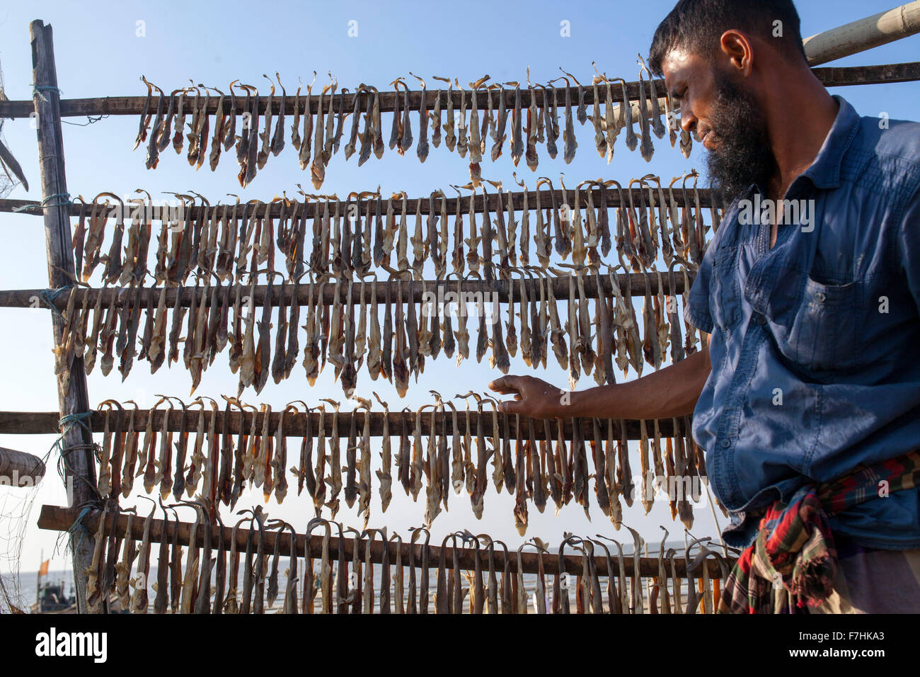 Dryingfish hi-res stock photography and images - Alamy
