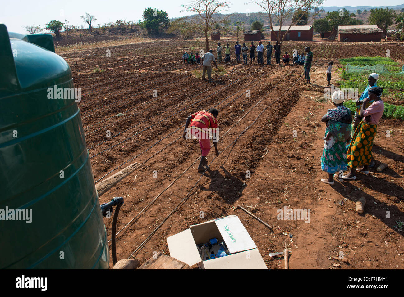 Drip irrigation system africa High Resolution Stock Photography and ...