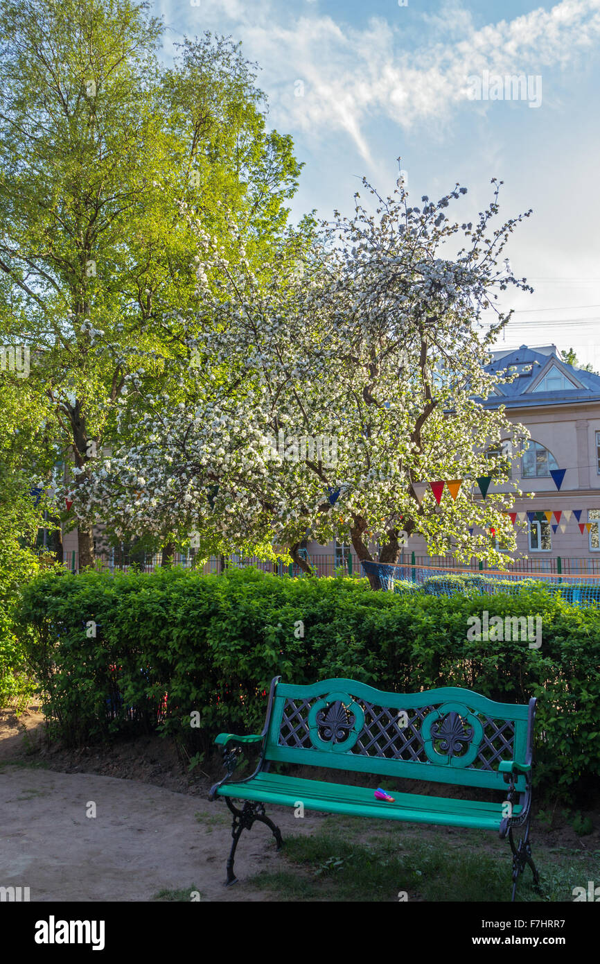 apple tree and bench in the courtyard on kindergarden Stock Photo - Alamy
