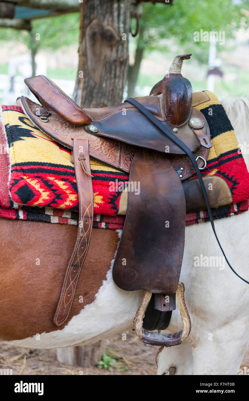 Pony di pony hi-res stock photography and images - Alamy
