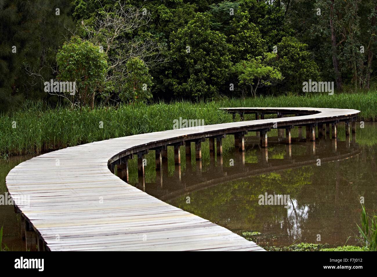 Bird Observation Deck Hong Kong Wetland Park - in Tin Shui Wai the park ...