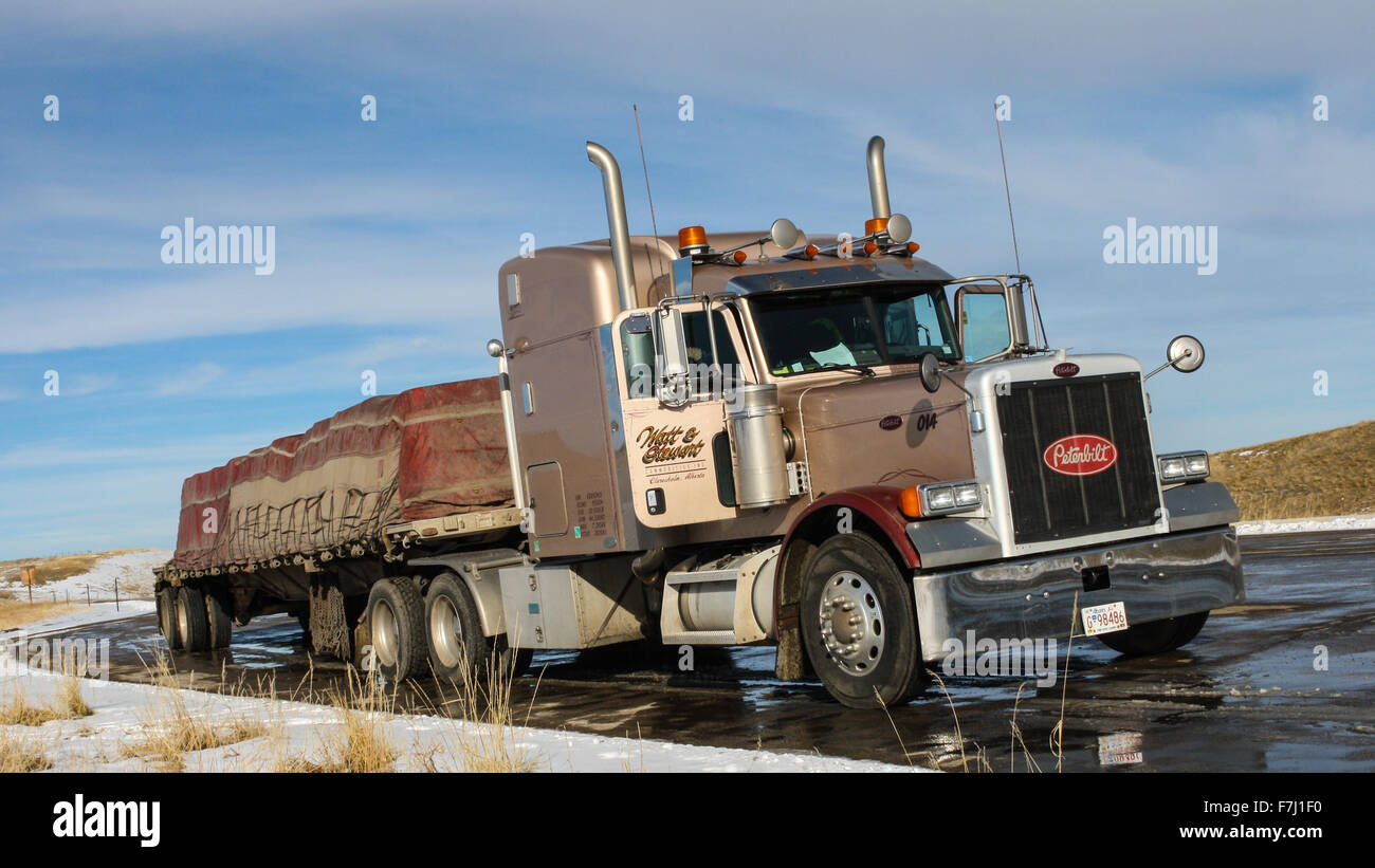 Remolque Tractor Peterbilt New Peterbilt Trucks For Sale | The Larson