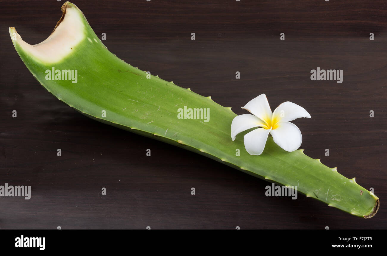 Aloe vera with plumeria flower on wood background Stock Photo - Alamy