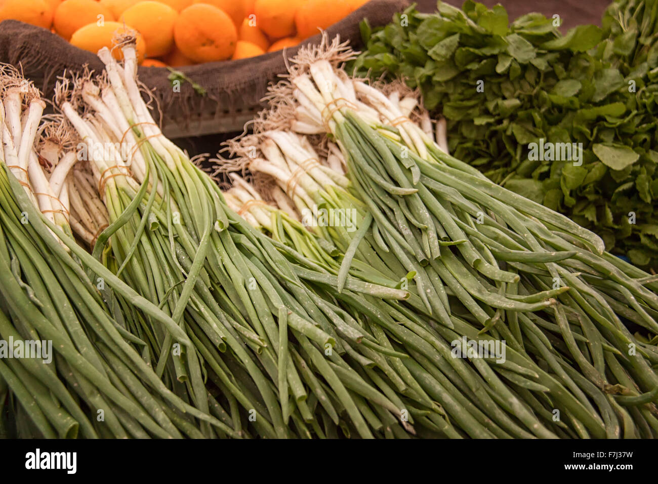 Green Onions Fresh green onions in the weekly farmers market Stock ...