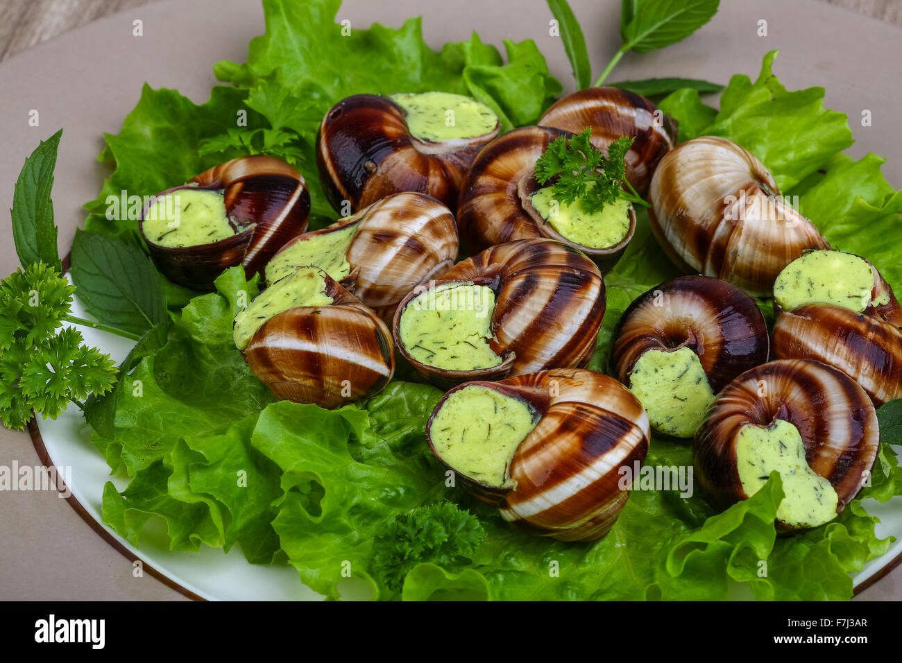French cuisine - Escargot with butter, parsley and salat leaves Stock ...