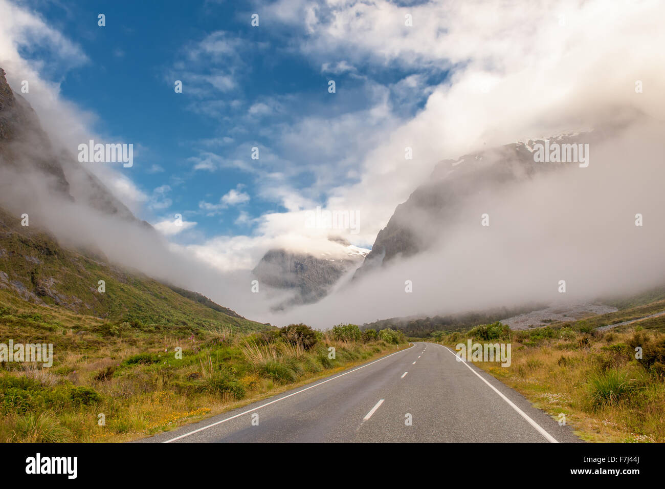 Milford road, Fiordland National Park, South Island, New Zealand Stock ...