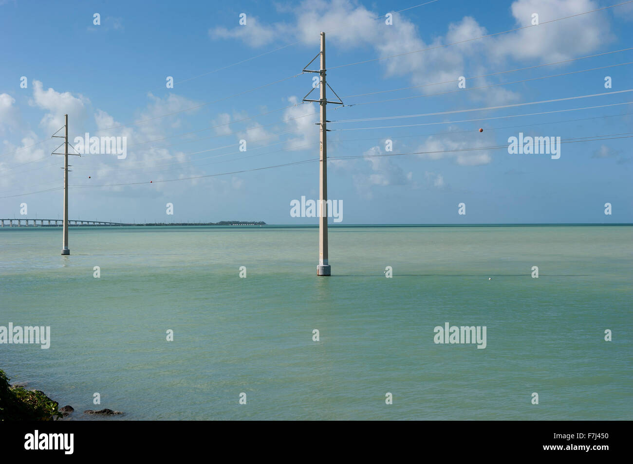 Electrical power lines florida hi-res stock photography and images - Alamy