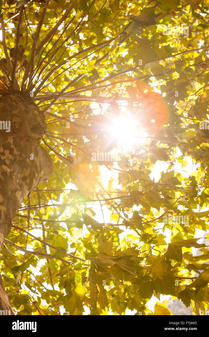 The River Vezza flows through the pretty Tuscan town of Seravezza ...