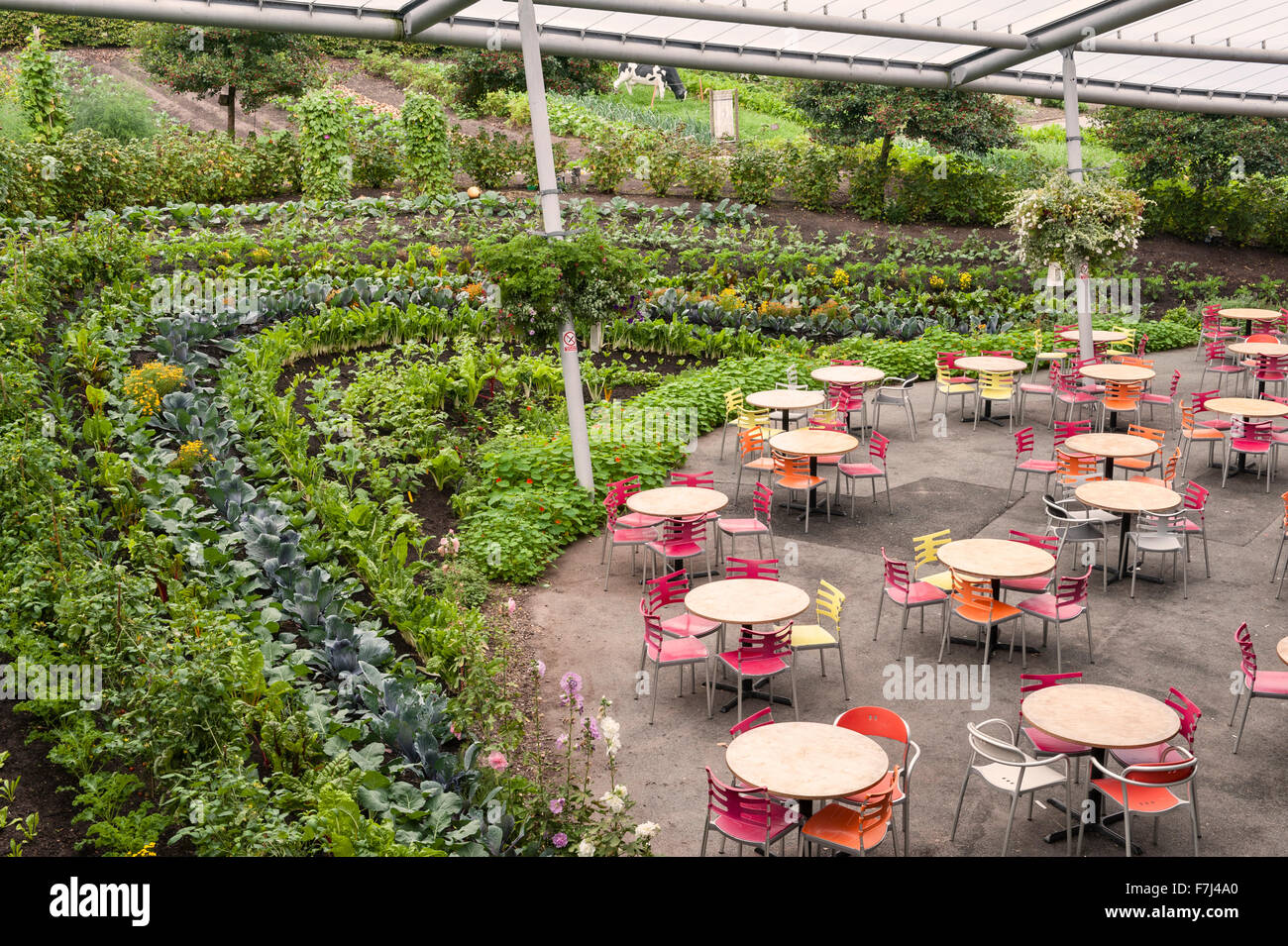 The Eden Project, St Austell, Cornwall, UK. The Eden Project Cafe Stock ...