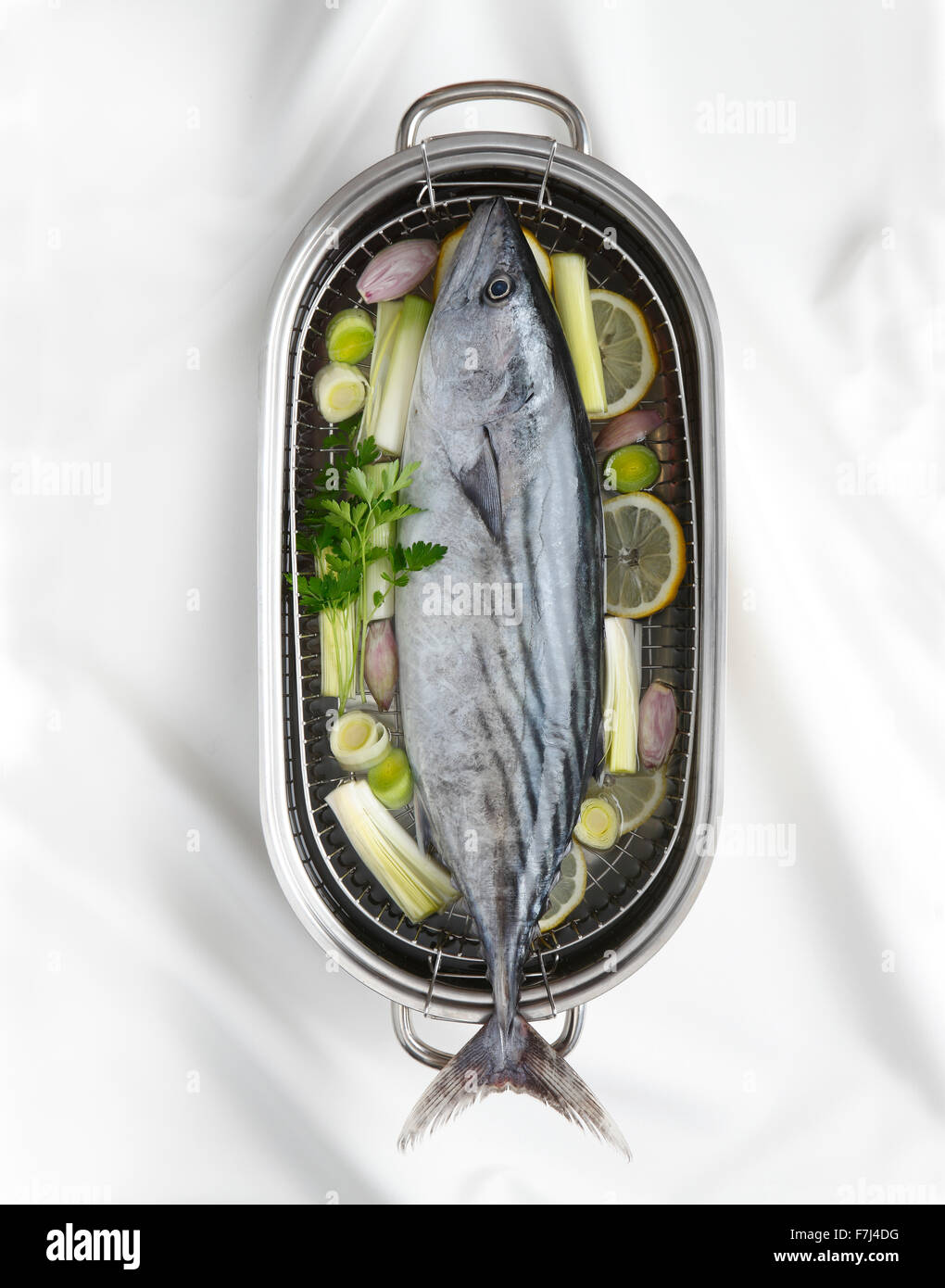 An Atlantic bonito in a cooking pot Stock Photo - Alamy