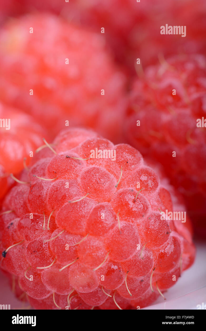 Close up fresh tasty raspberry hi-res stock photography and images - Alamy