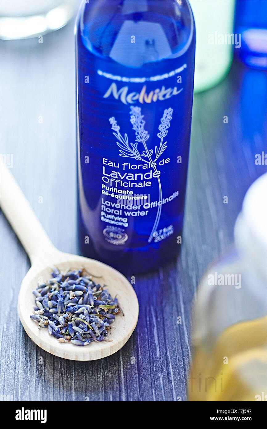 Purifying water plants hi-res stock photography and images - Alamy