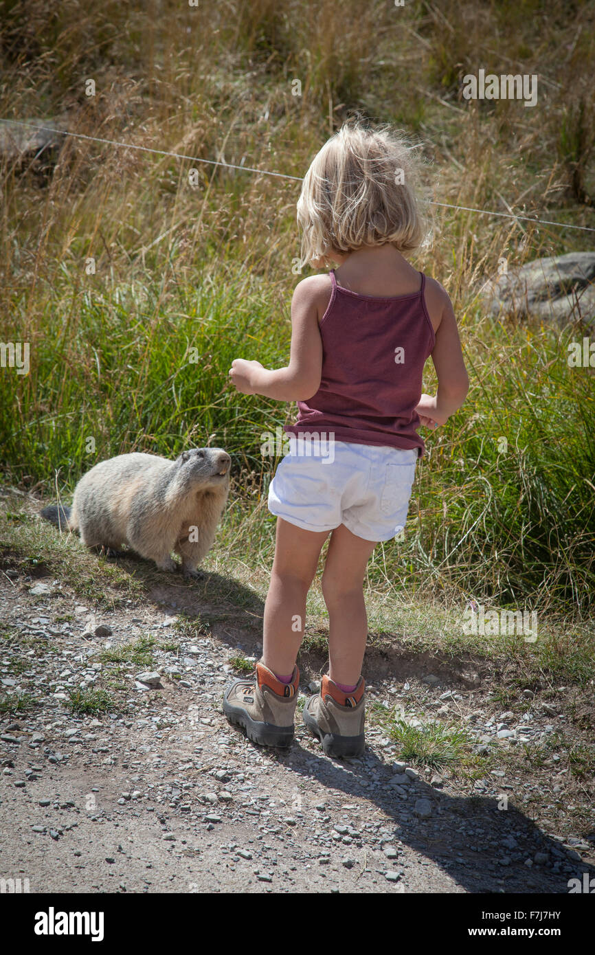 Marmots and human hi-res stock photography and images - Alamy