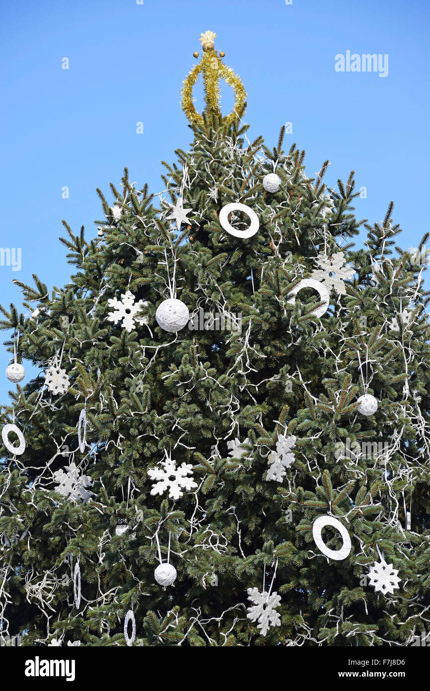 Beautiful high christmas tree hi-res stock photography and images - Alamy