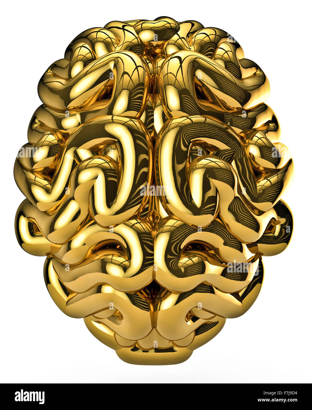 Gold brain / 3D render of brain isolated on white Stock Photo - Alamy