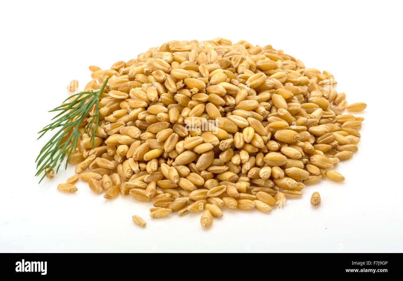 Gold rice hi-res stock photography and images - Alamy