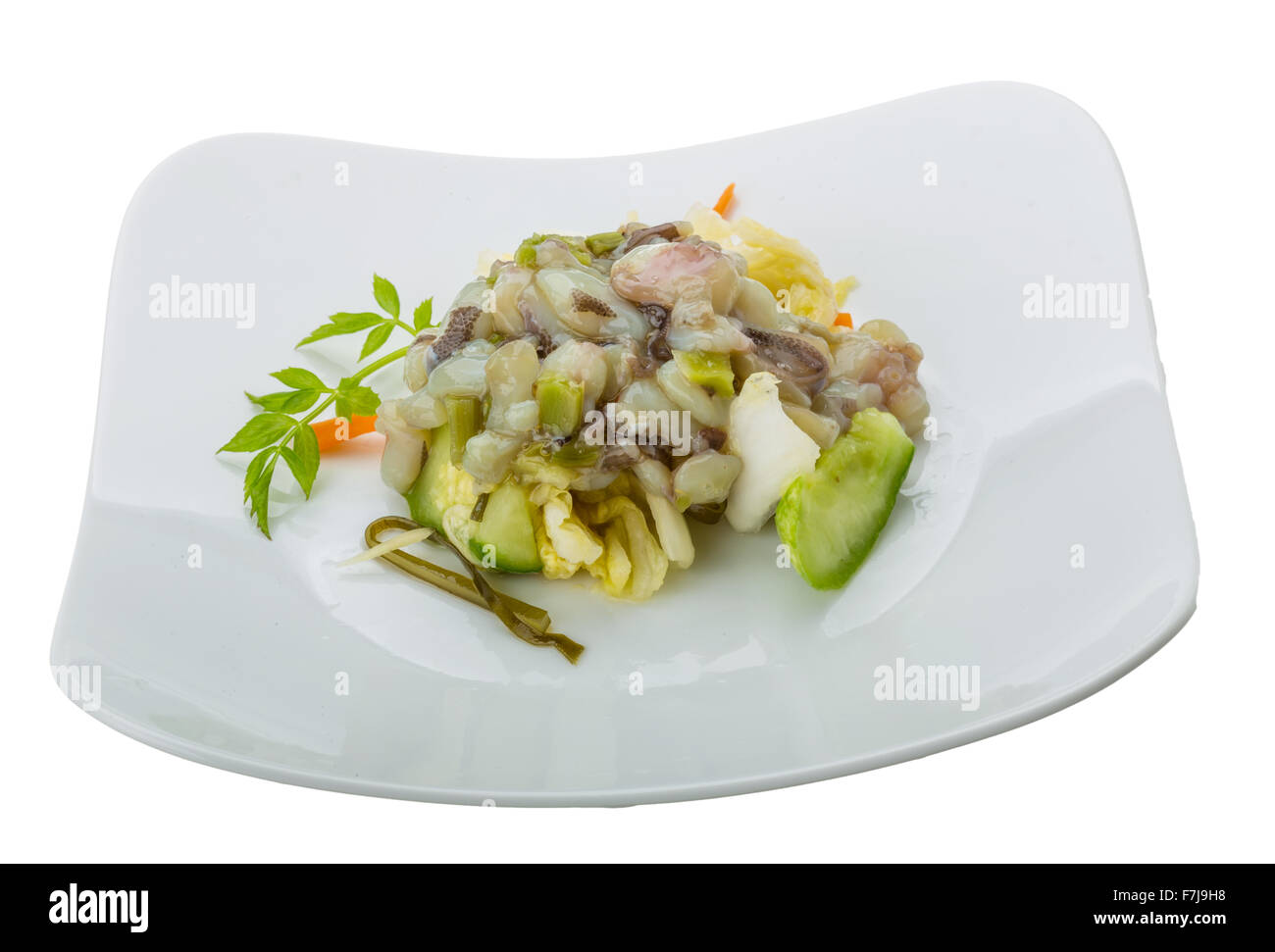 Octopus Display Cut Out Stock Images & Pictures - Alamy
