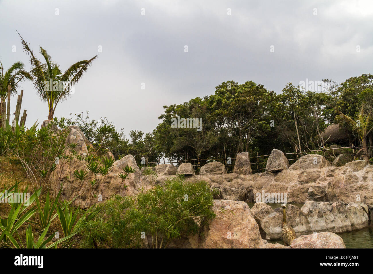 Chinese jungle, island of Hainan Stock Photo - Alamy