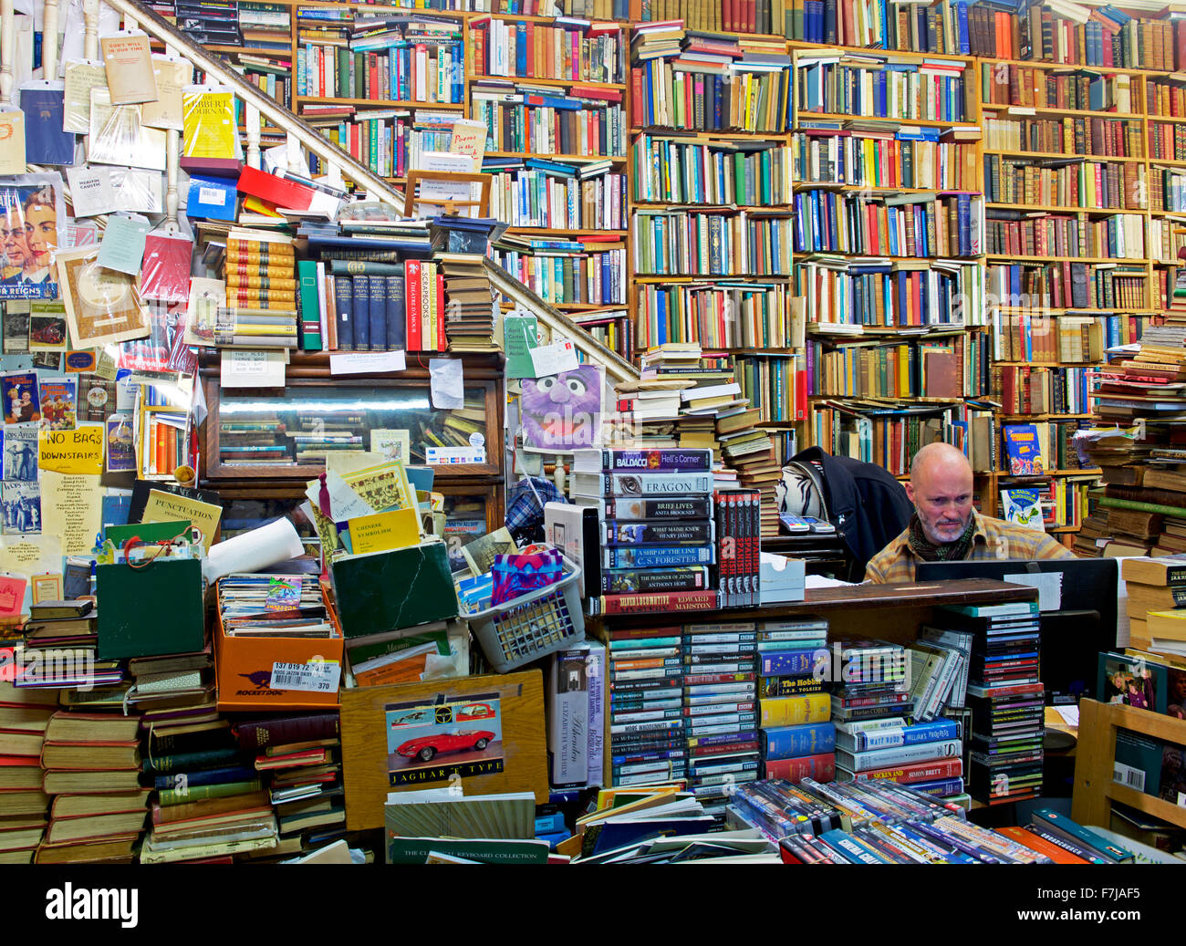 Interior of Camilla's Bookshop, Grove Road, Eastbourne, East Sussex ...