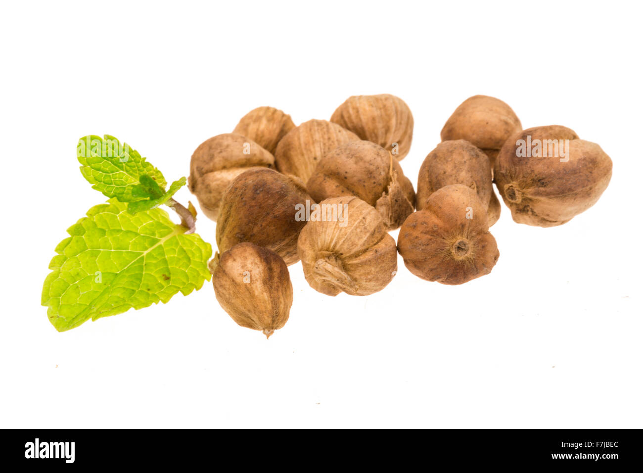 Cardamon seed isolated Stock Photo - Alamy