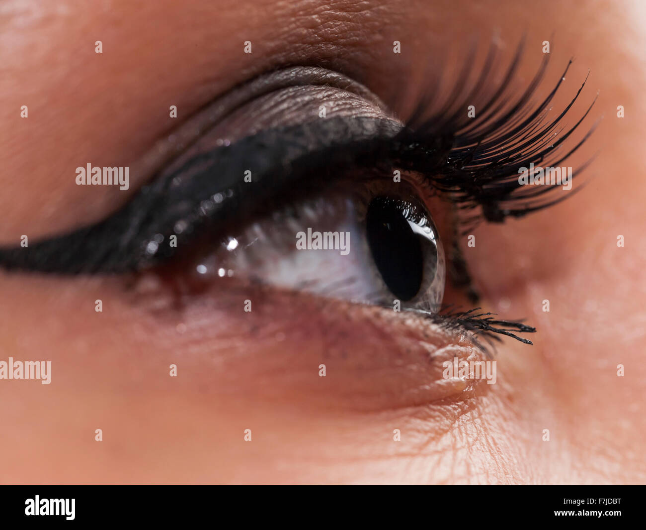 Eyelid anatomy hi-res stock photography and images - Alamy