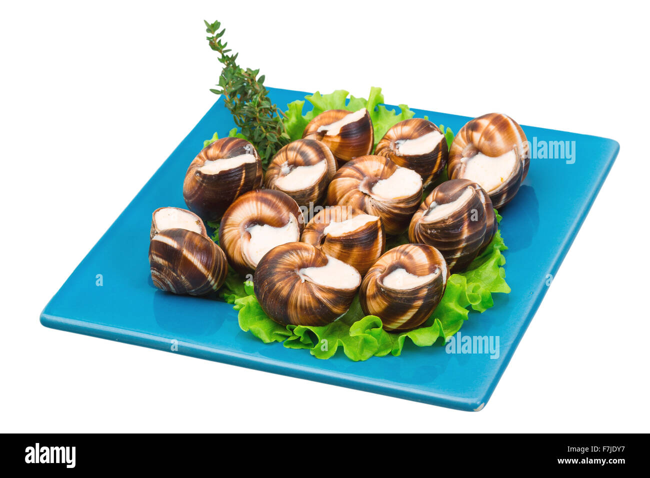 Escargot with cheese sauce Stock Photo - Alamy
