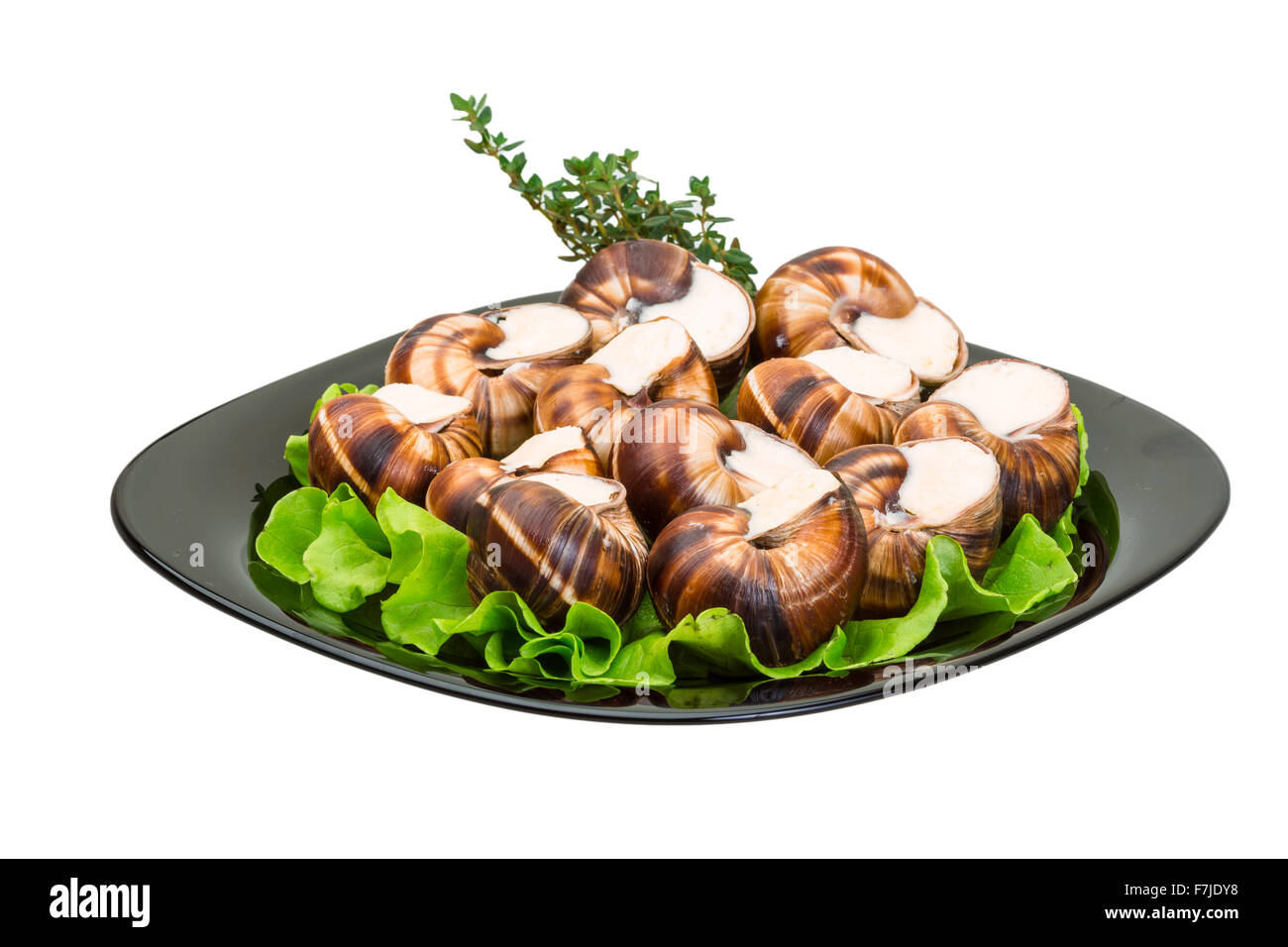 Escargot with cheese sauce Stock Photo - Alamy
