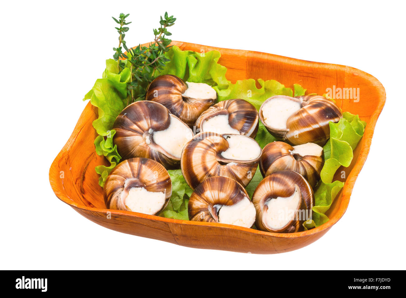 Escargot with cheese sauce Stock Photo - Alamy