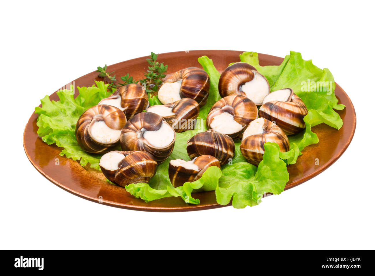 Escargot with cheese sauce Stock Photo - Alamy