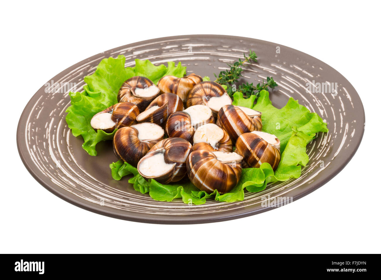 Escargot with cheese sauce Stock Photo - Alamy