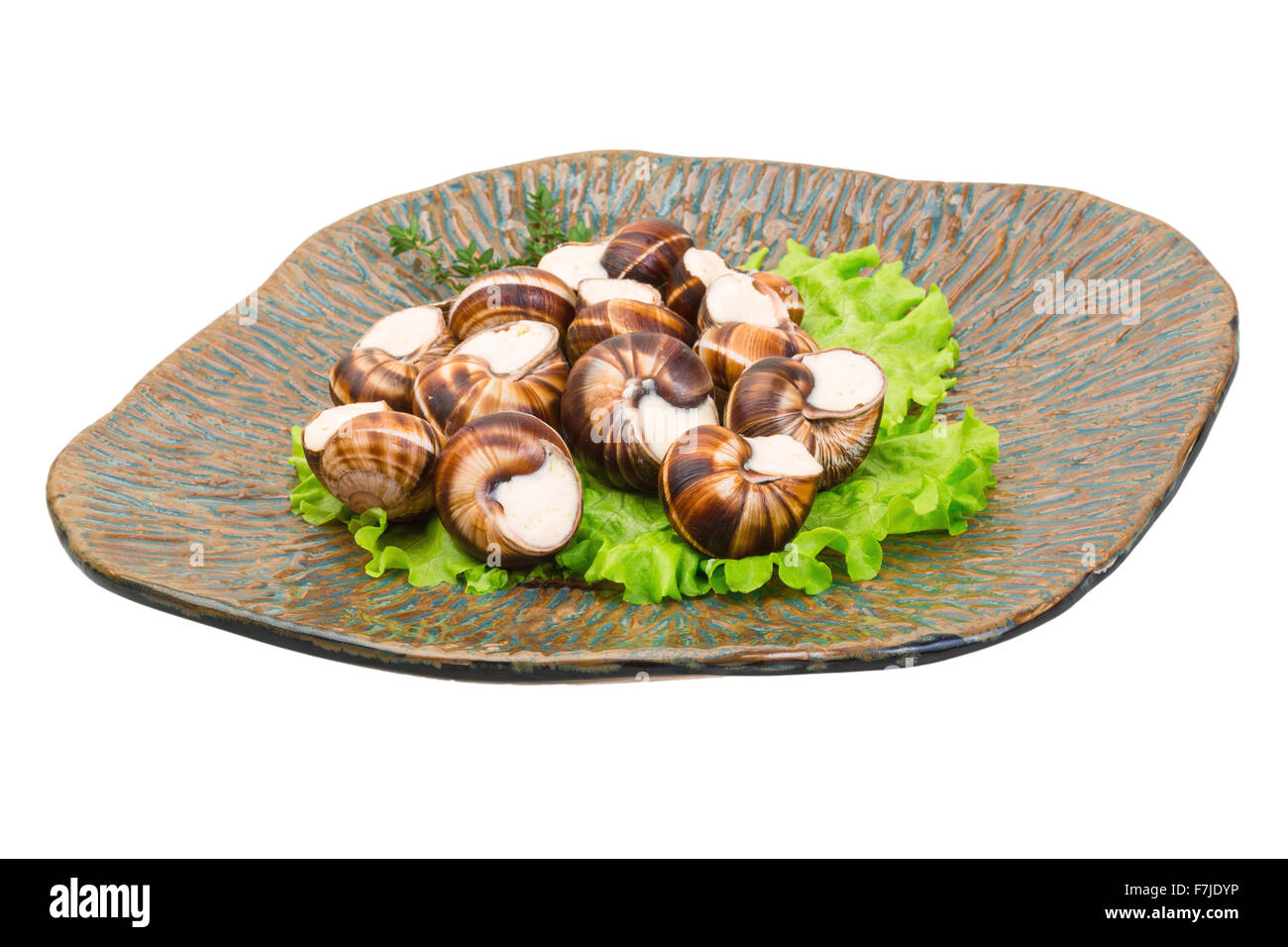 Escargot with cheese sauce Stock Photo - Alamy