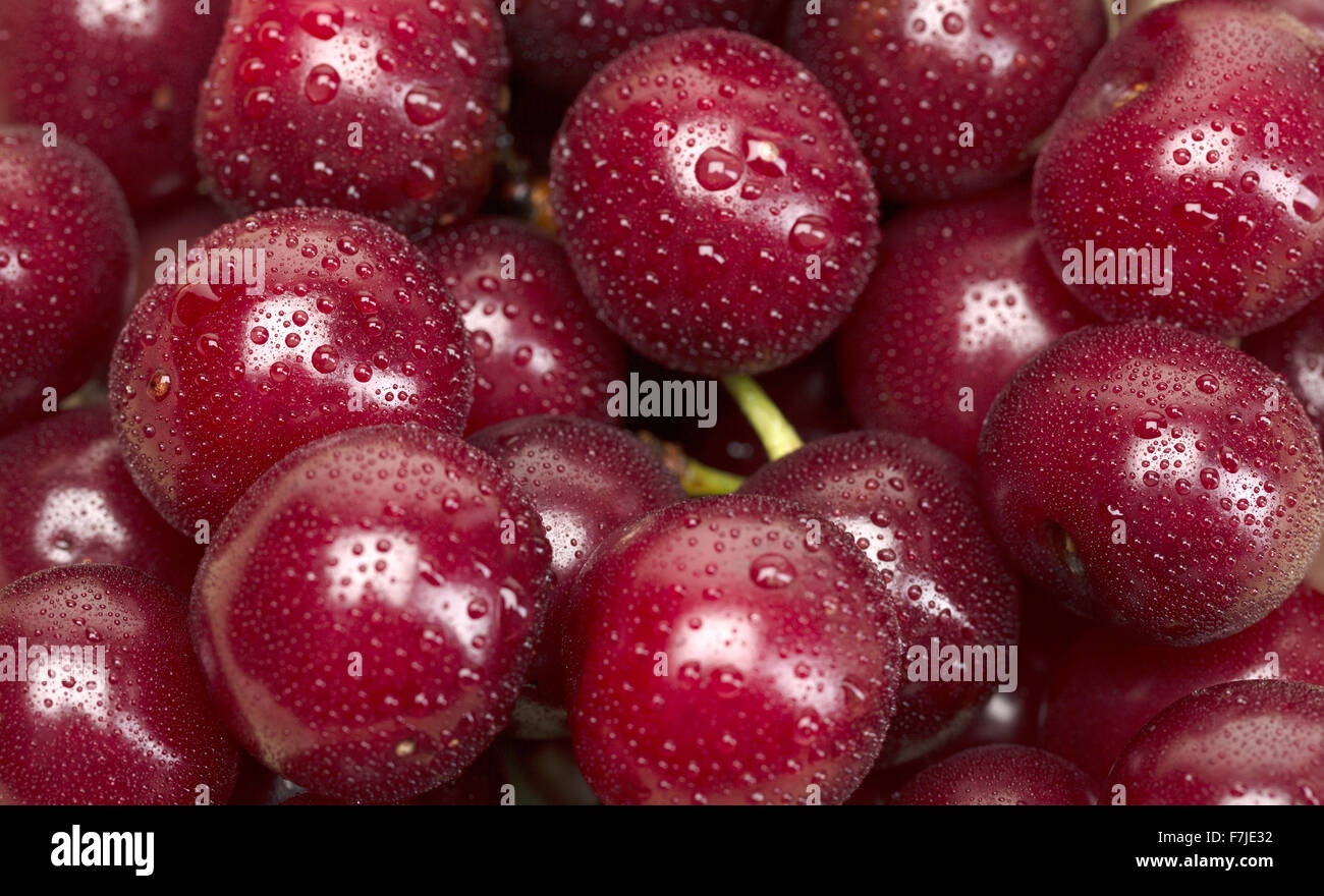 Background cherry close-up drops. Shallow depth of field Stock Photo ...