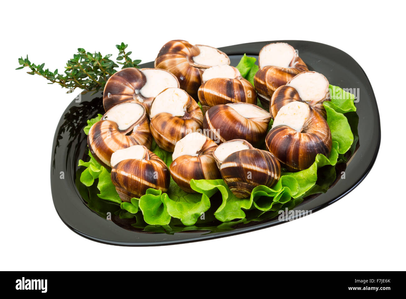 Escargot with cheese sauce Stock Photo - Alamy