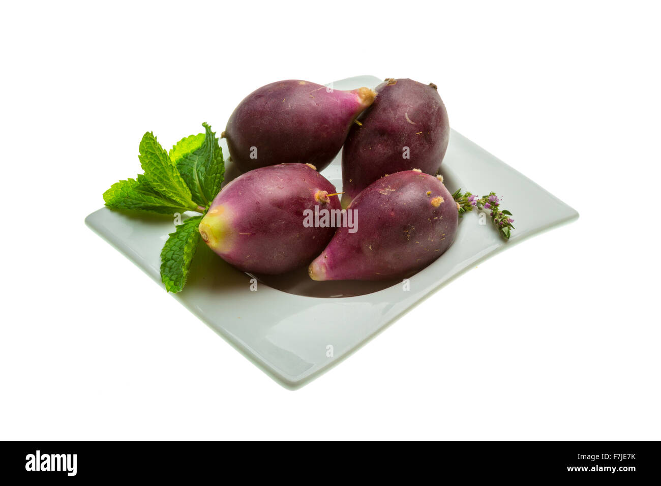 Sabr cactus hi-res stock photography and images - Alamy